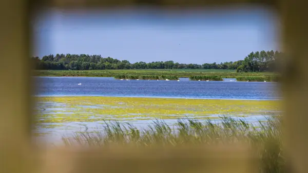Brokholm Sø og Havbjerg Skov - Naturstyrelsen