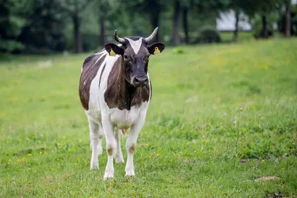 Praktisk - Naturstyrelsen