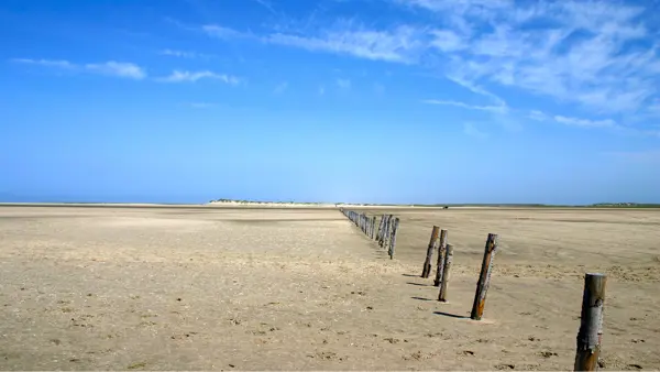 Vadehavet - Naturstyrelsen