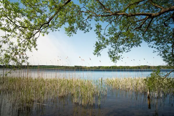 10 nye naturnationalparker på vej til danskerne - Naturstyrelsen 10 nye naturnationalparker på vej til danskerne - Naturstyrelsen